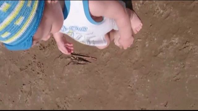 Андрей лето 2016