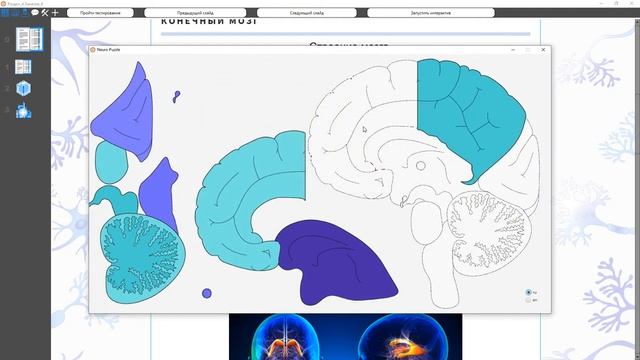 LMS. Занятие-интерактив