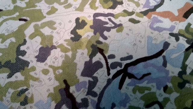 Раскраска по номерам Как рисовать! Коррекция номеров для светлой краски холст. Мастер-класс