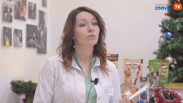 Новогодние опасности для домашних питомцев