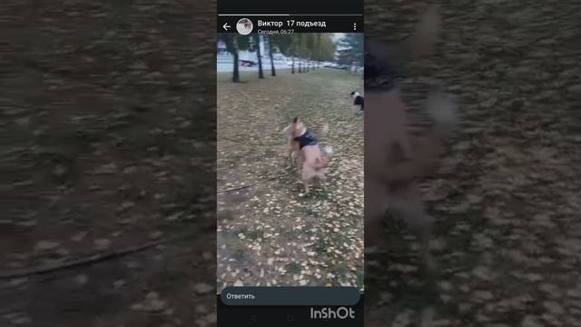 Диана, Лялька и Джек Воробей 11.10.2024 пятница Набережные Челны