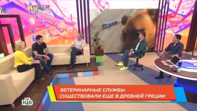 Ветеринарный врач ВЦ "Зоовет" Иван Гречаниченко в телепередаче «Кофе с молоком»