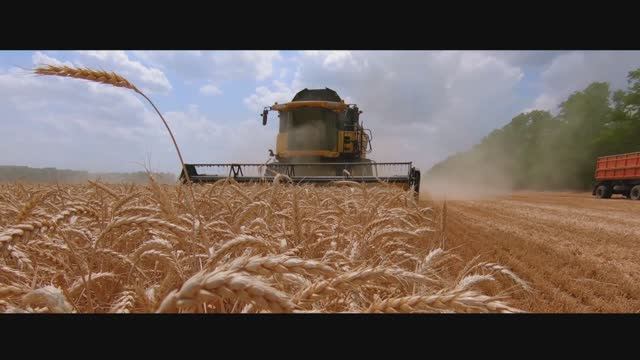 Путиловцу 15 лет