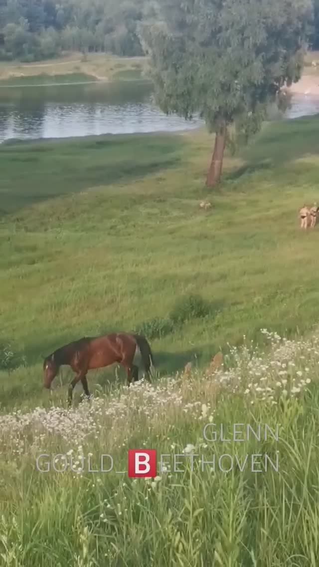 🅱️eethoven-Symphony 6 Pastoral-Glenn Gould