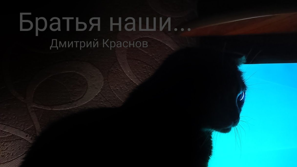 История на ночь "Братья наши..."