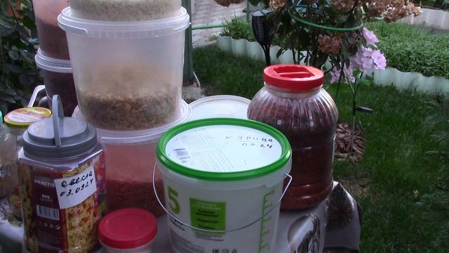 Сушка продуктов. Разбор ошибок.