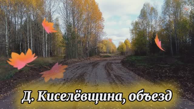 Деревня Киселёвщина, объезд.mp4