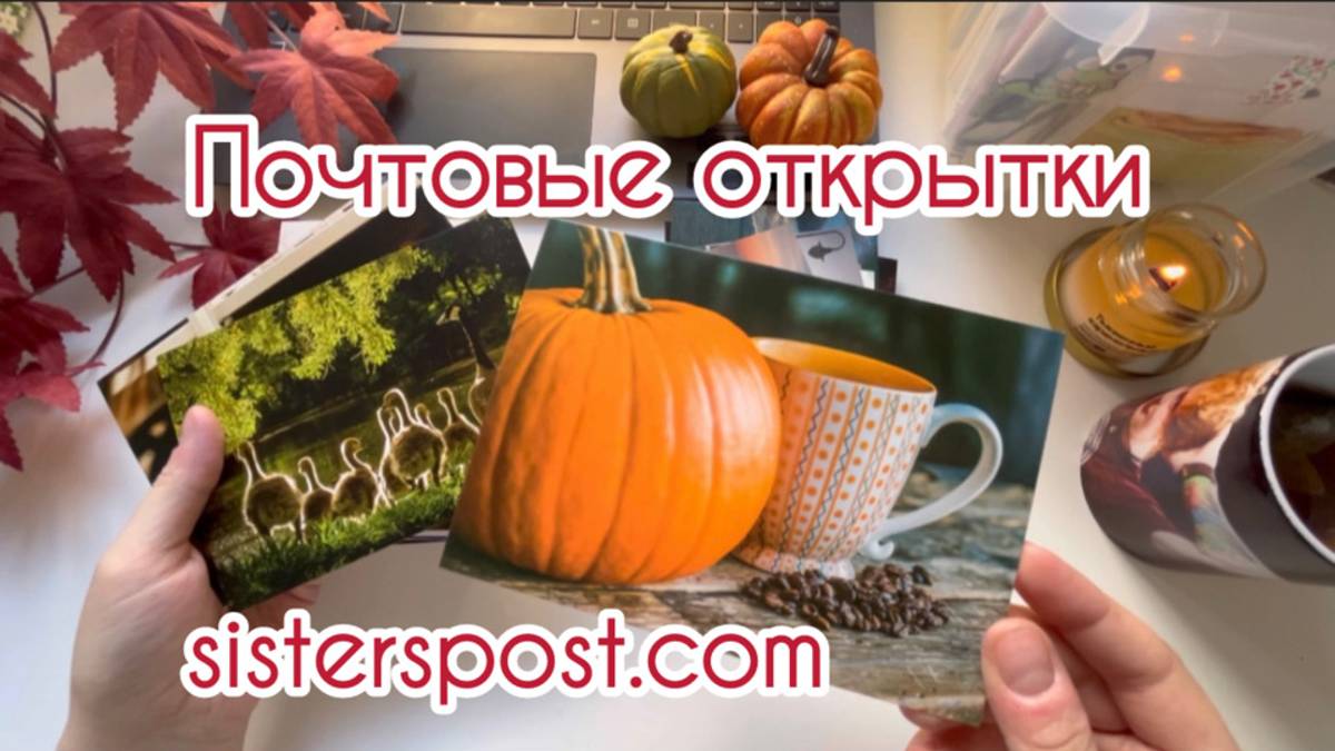 Заказ почтовых открыток с сайта Sister's Post💐