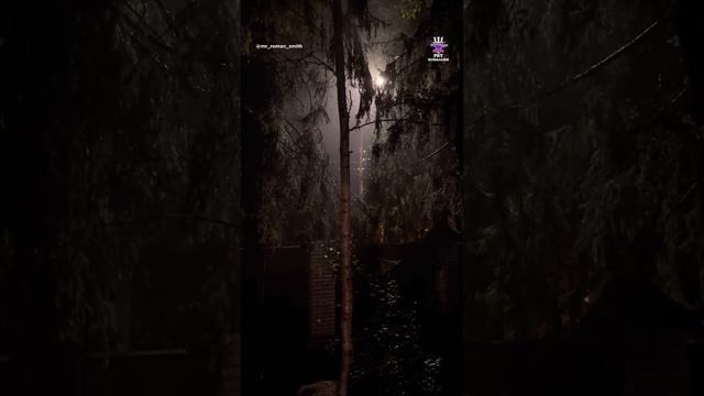 Размышления о дожде…и человеке…