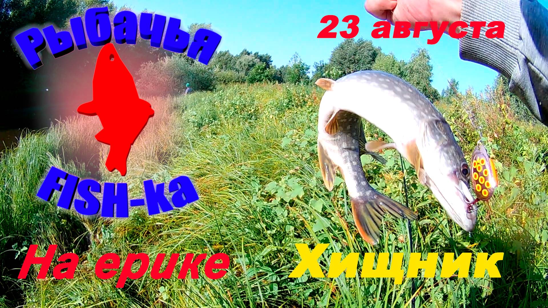Спиннинг