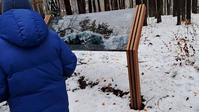 Парк-Отель Березка, Парк Отель Еловое. 2023г.