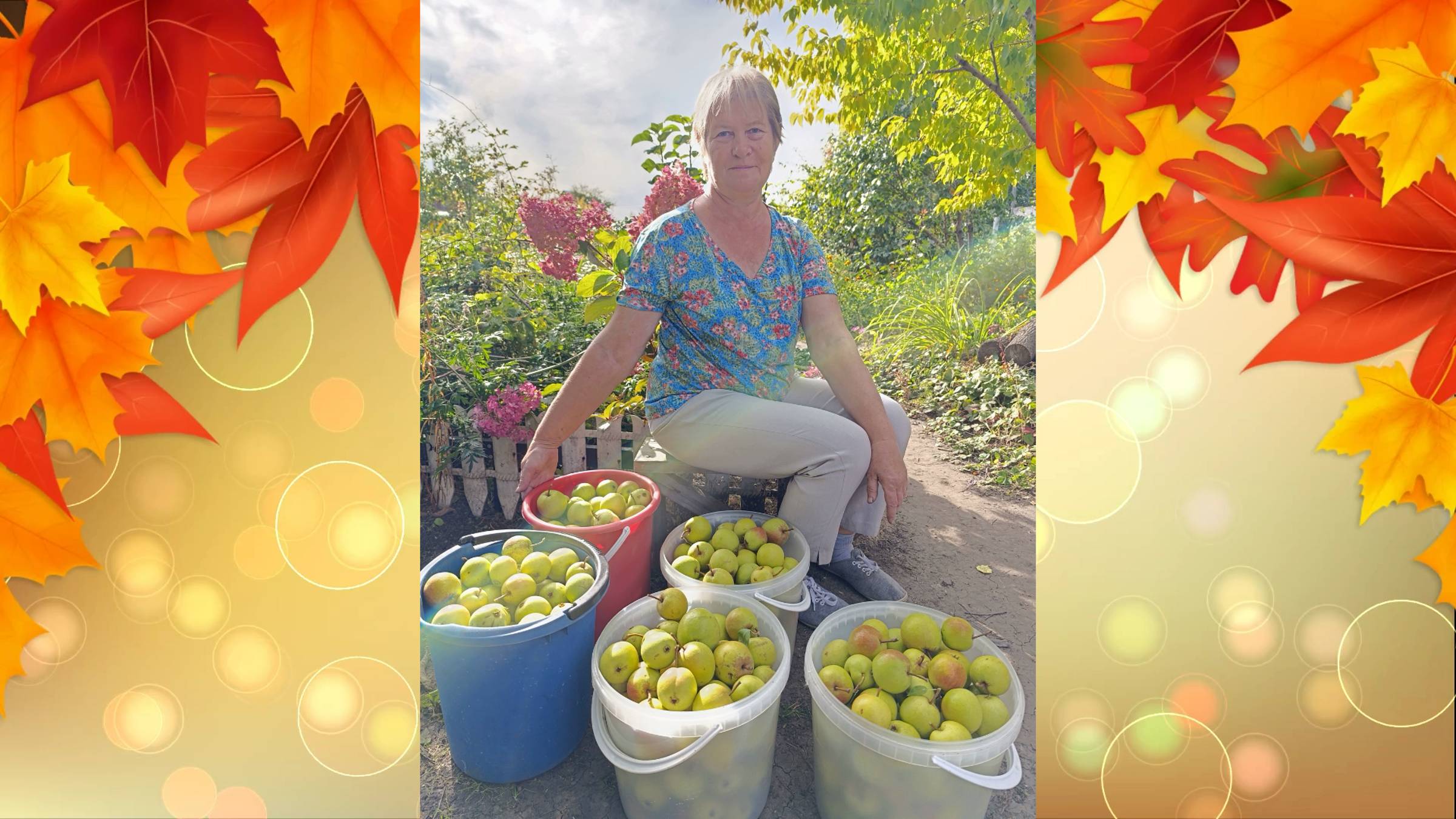 Обзор сорта груши Сварог.