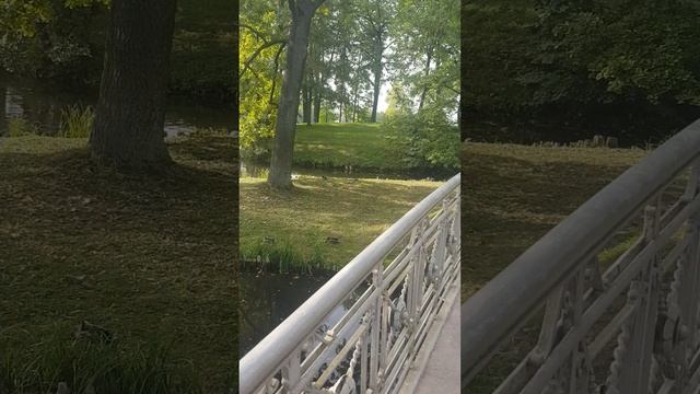 Гатчина. Парк. Осень.