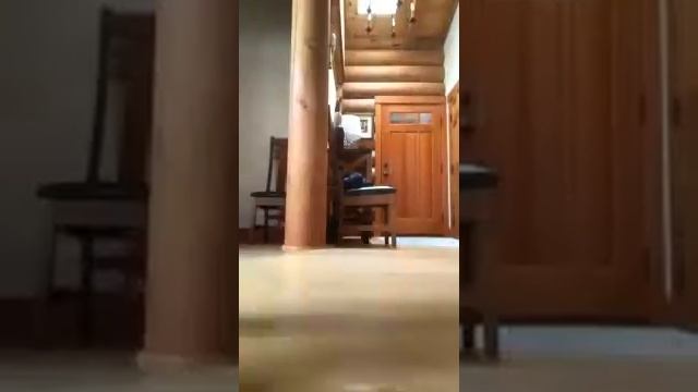 Преследование