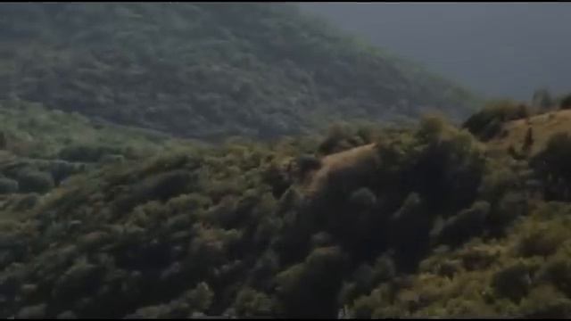 Голубые молнии - За синие береты!