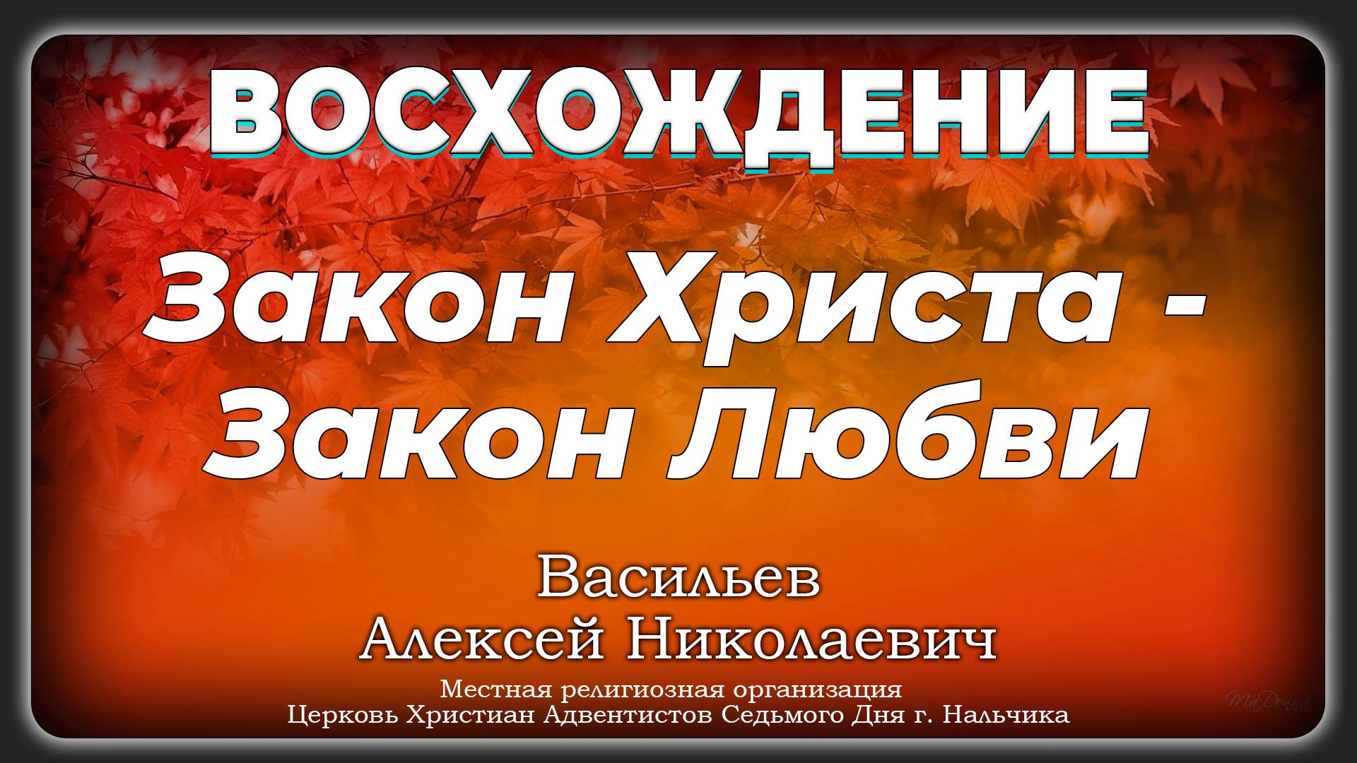 Закон Христа - Закон Любви | Васильев Алексей Николаевич. Запись за 12.10.2024.