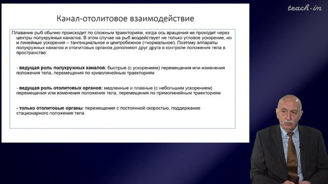 7. Вестибулярная система рыб. Сенсорные системы рыб - Касумян А. О. Teach-in.