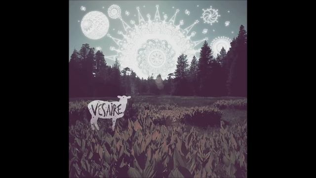 Son Feci Bisiklet - Pazar ve Ertesi