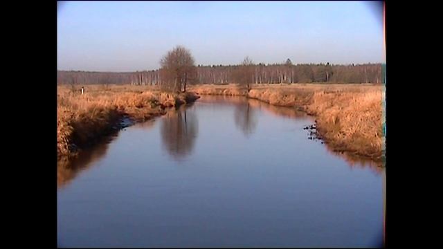 ЦНА
