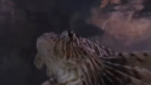 Helsinki, аквариум "Sea Life", видеопрезентация. Тематические поездки по Фенноскандии.