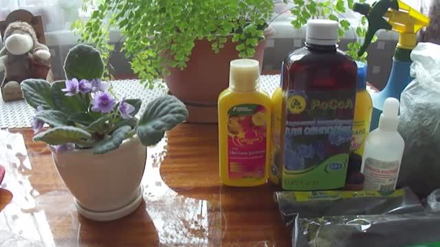 Удобрения для комнатных цветов