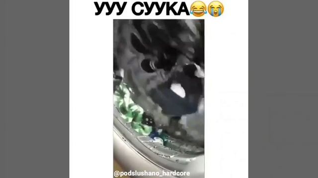УУУУУ СУКА