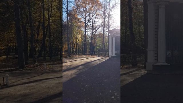 Фонтаны Петродворца