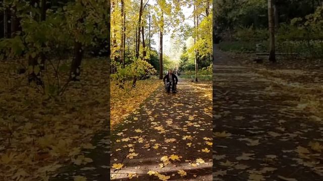 Русский размер 🇷🇺