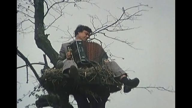 ПЕСНИ СОВЕТСКОГО КИНО Белые росы