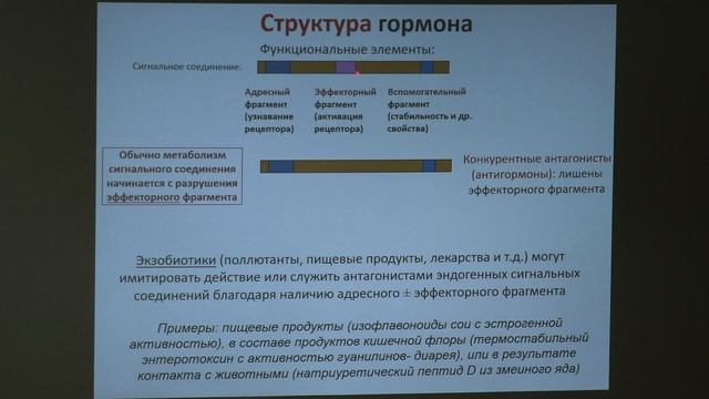 2. Эндокринная система. Физиология человека и животных 2 - Ловать М. Л. Teach-in.