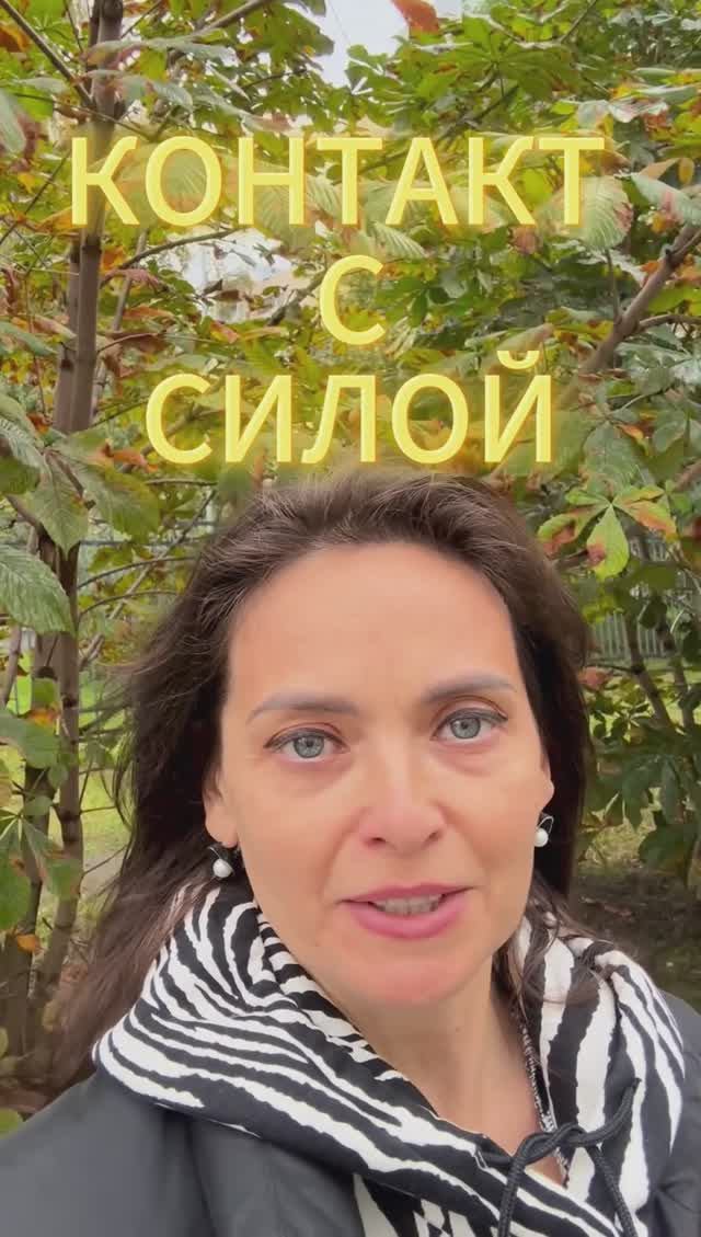 КОНТАКТ С СИЛОЙ