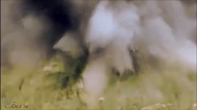 Юрий Антонов - Маки