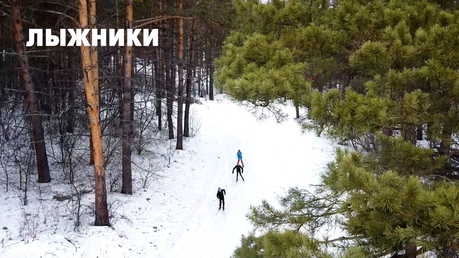 Кузбассовцы. Лыжники