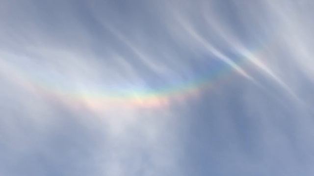 Радуга массажистов 2024 мещерский лес