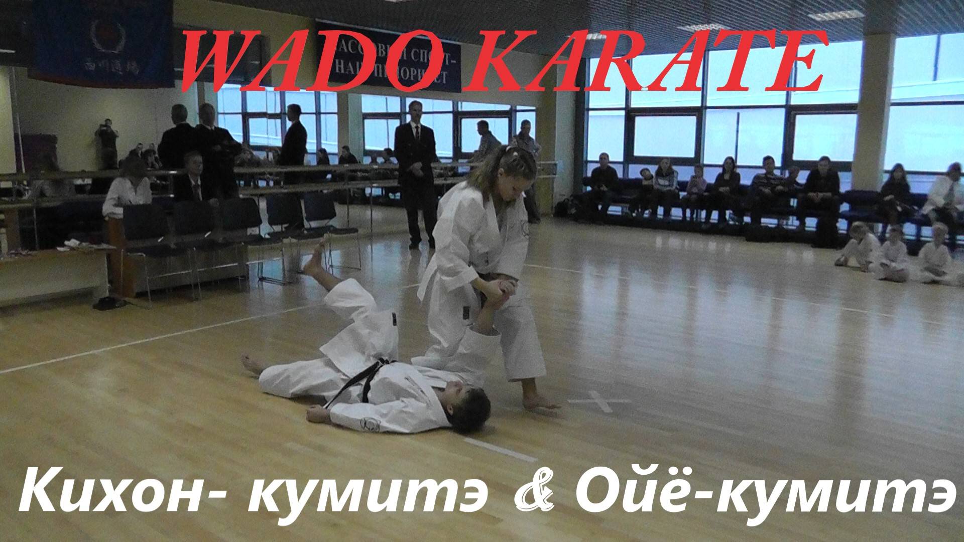 Кихон-кумитэ & Ойё-кумитэ Wado karate