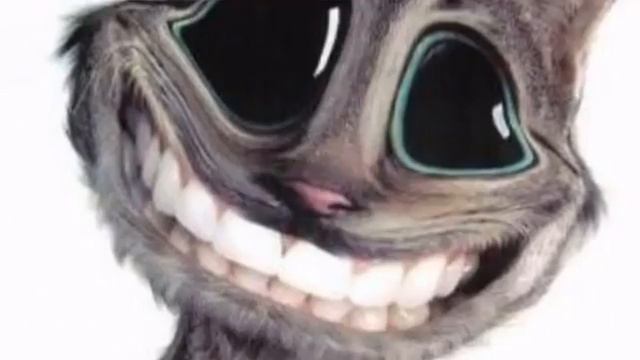 Римме Динюшевой от Светланы Сотниковой