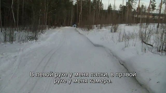 Advanced Russian Lesson - Cross Country Skiing in Russia