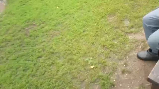 Бан бан 4 в реальной жизни