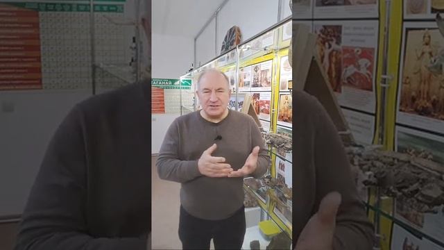 Адвокат семейных насильников