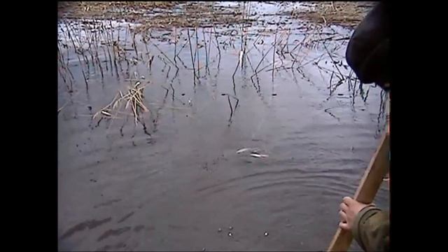 ШУСТОВО третья часть