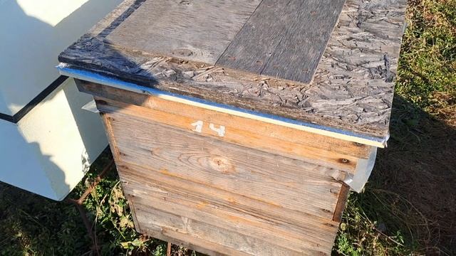 Почти финальные работы по подготовке пчёл в зиму