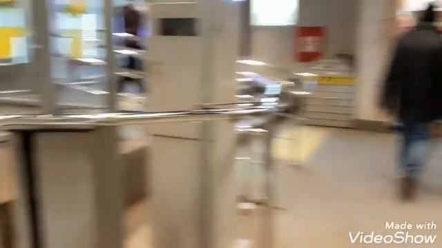 ПЕТЕРБУРГ | Все поездки в город на Неве