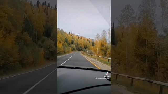 по дороге на Телецкое озеро #алтай #nature #roadmovie #altay #mauntain #trip