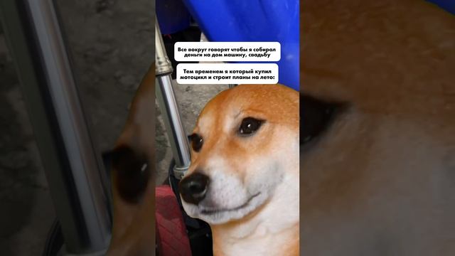 Планы на лето| Мотонаставник | Загаринский