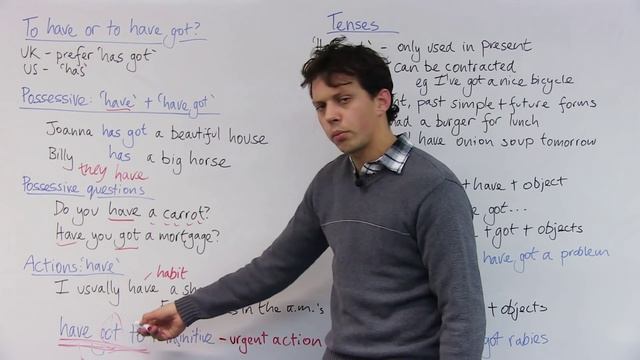 Learn English Grammar has, have, have got