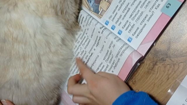 почему я долго делаю домашку