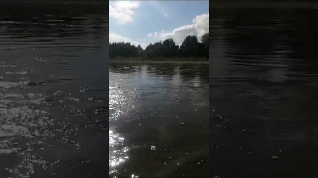 Катунь. Алтай.