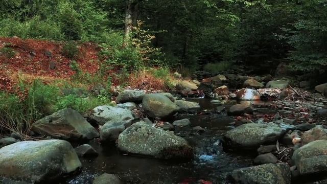 СЫН ЦЕРКОВНЫЙ часть 17