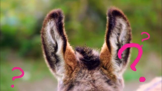 Rise_and_Shine_L2U3_Our_World