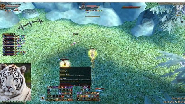 Perfect World KOTIKS Deciders Садаман Ежедневная рутина Видео от 13.10.2024